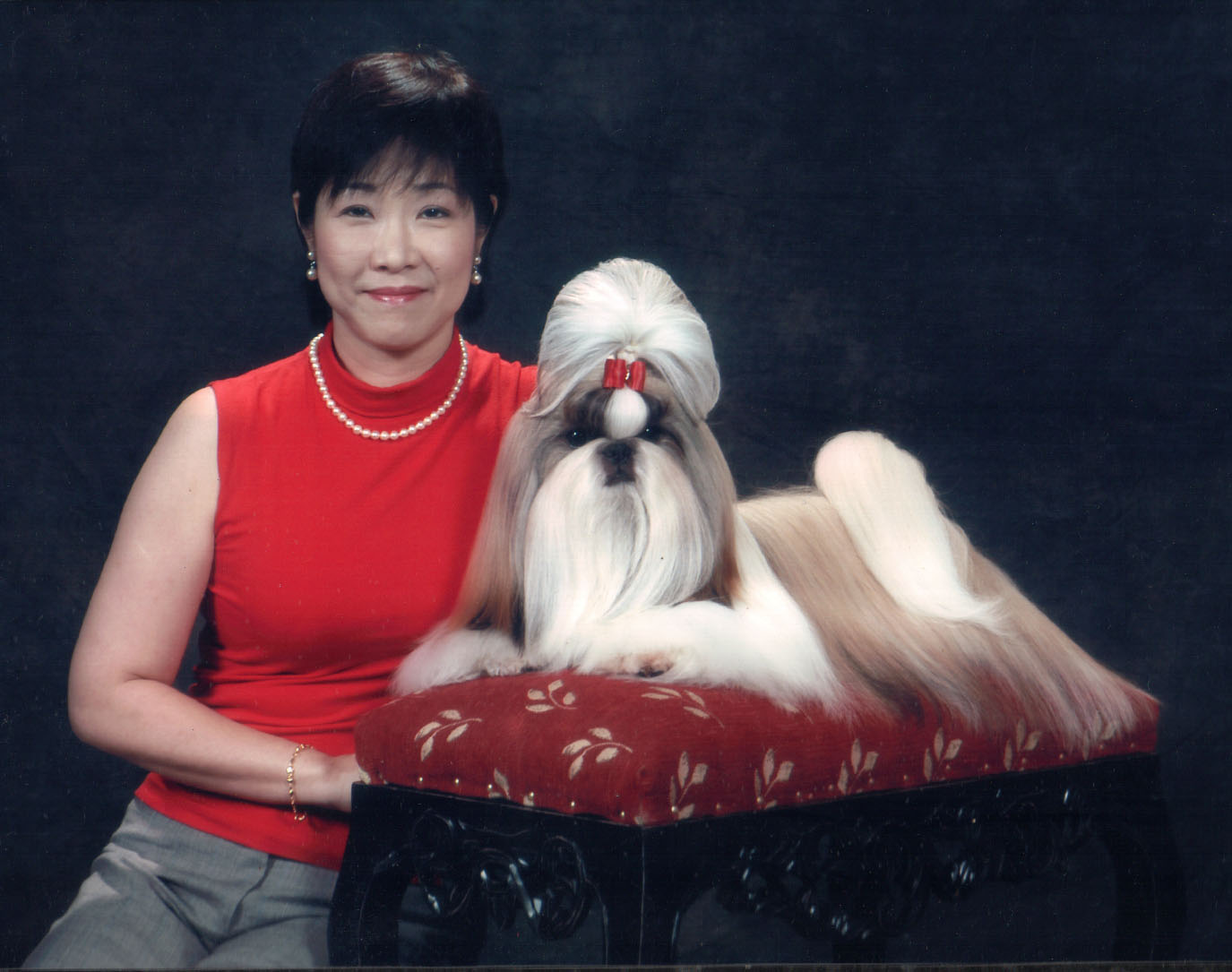 About – Achilles Shih Tzu